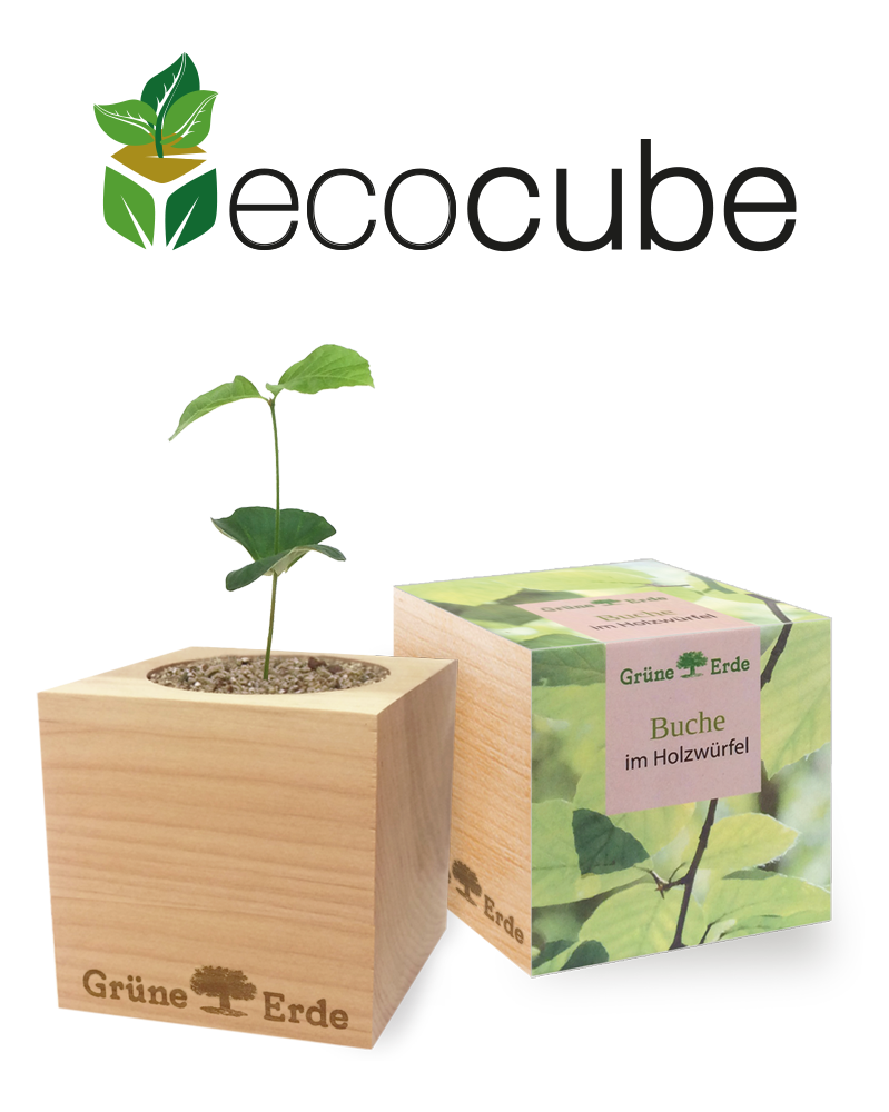 B2B • EcoCube personalizzato |GRIN